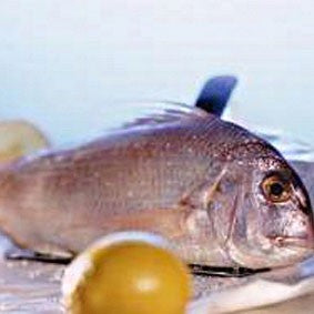 What Rocks about Rock Fish? – Pure Food Fish Market