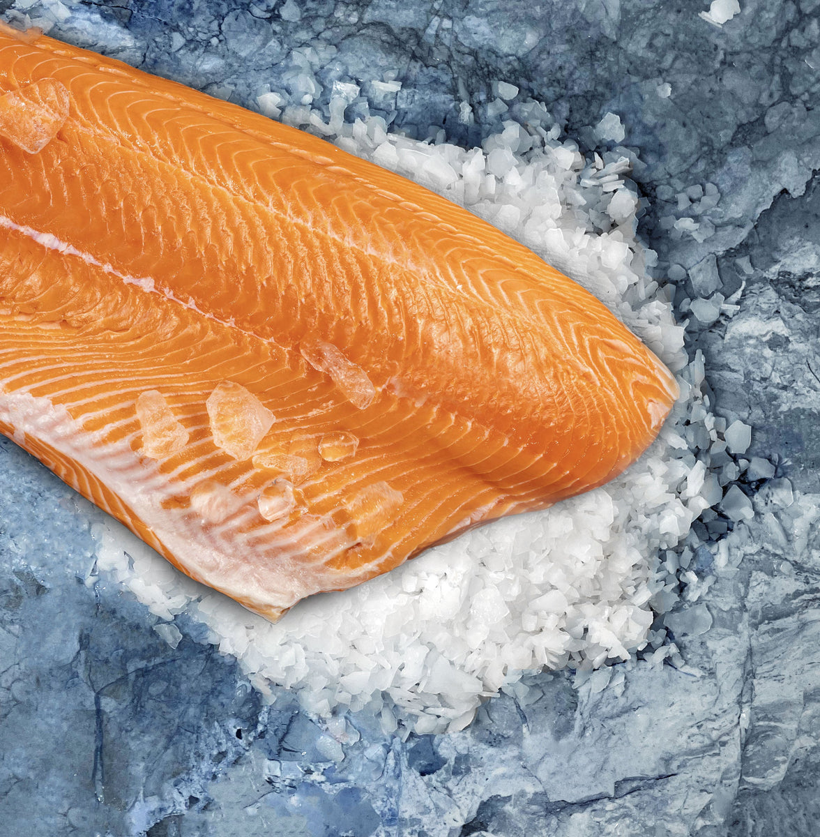 Salmon – Pure Food Fish Market