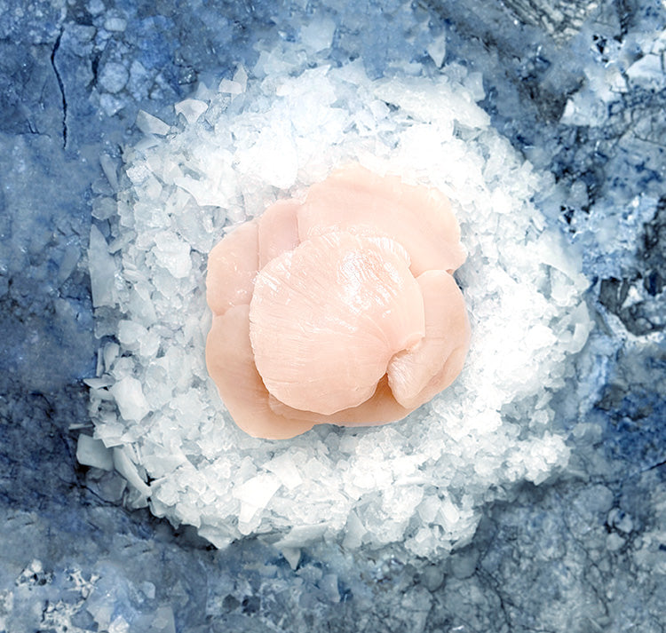 Fresh Alaskan Halibut Cheeks | Pure Food Fish Market