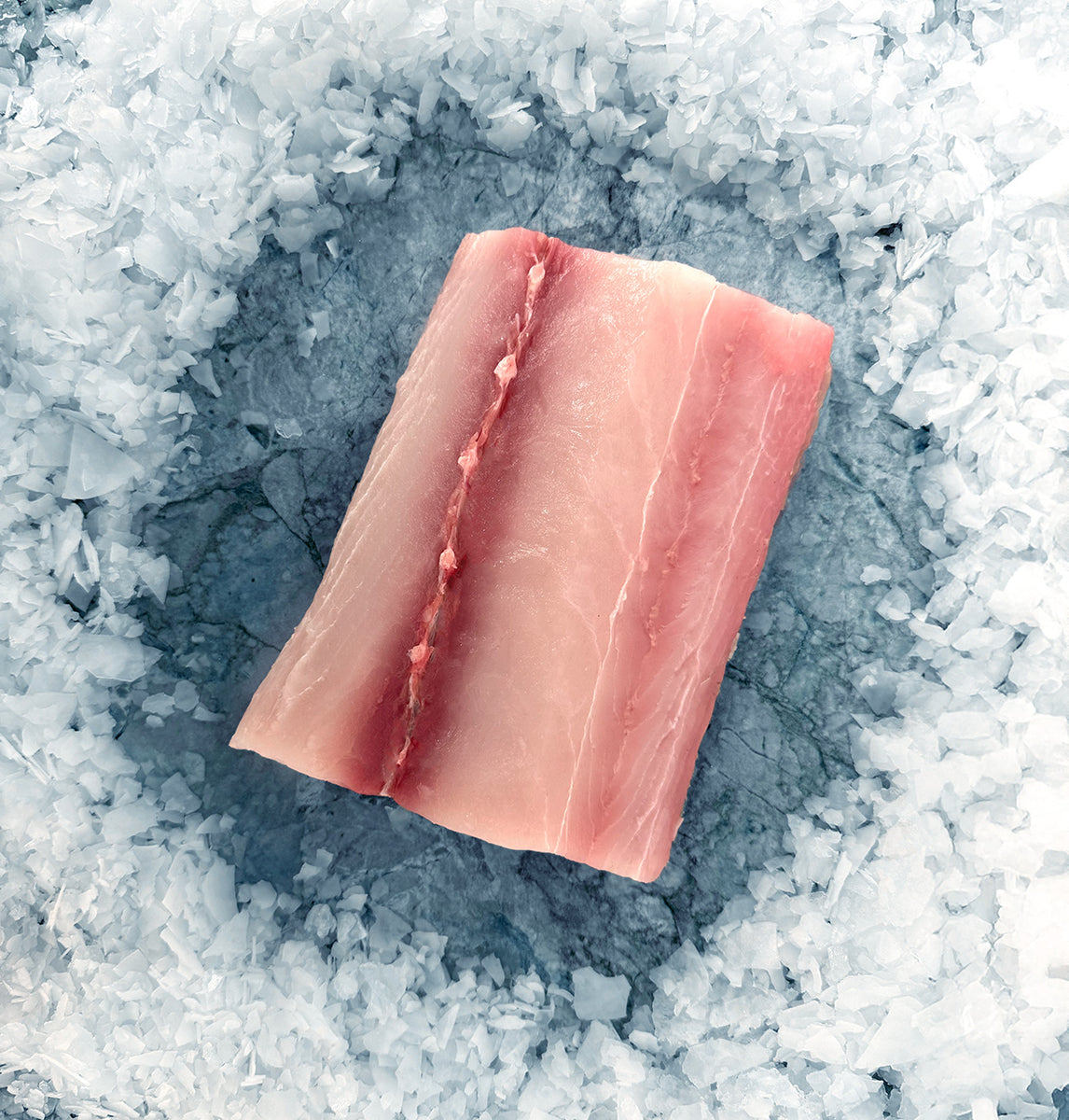 Buy Fresh Mahi Mahi Fillet Online – Pure Food Fish Market