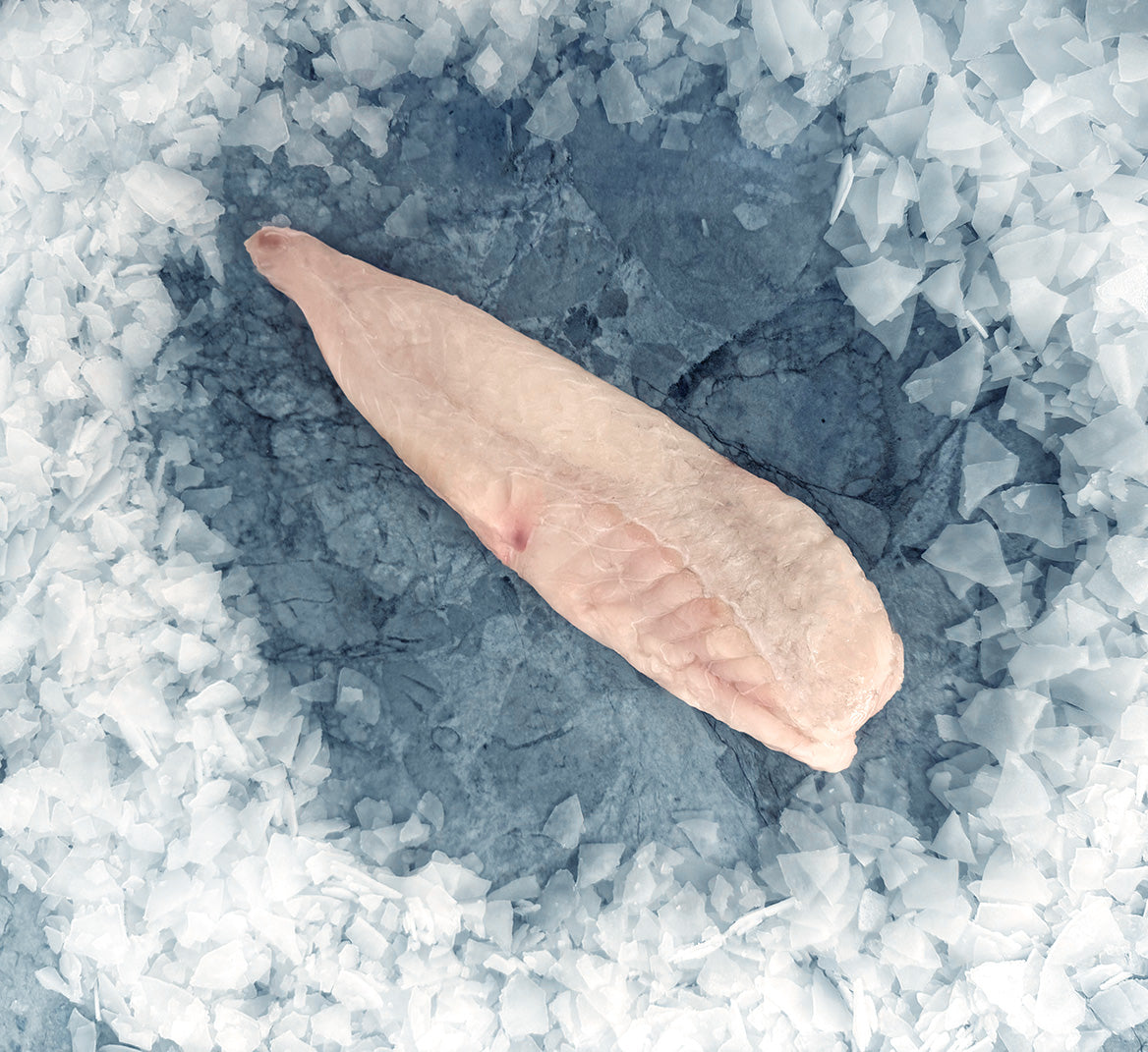 Buy Fresh Monk Fish Fillet Online – Pure Food Fish Market