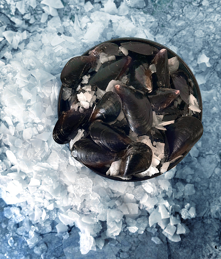 Buy Fresh Mussels Online – Pure Food Fish Market