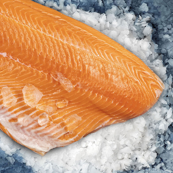 Order Fresh Salmon Online – Pure Food Fish Market