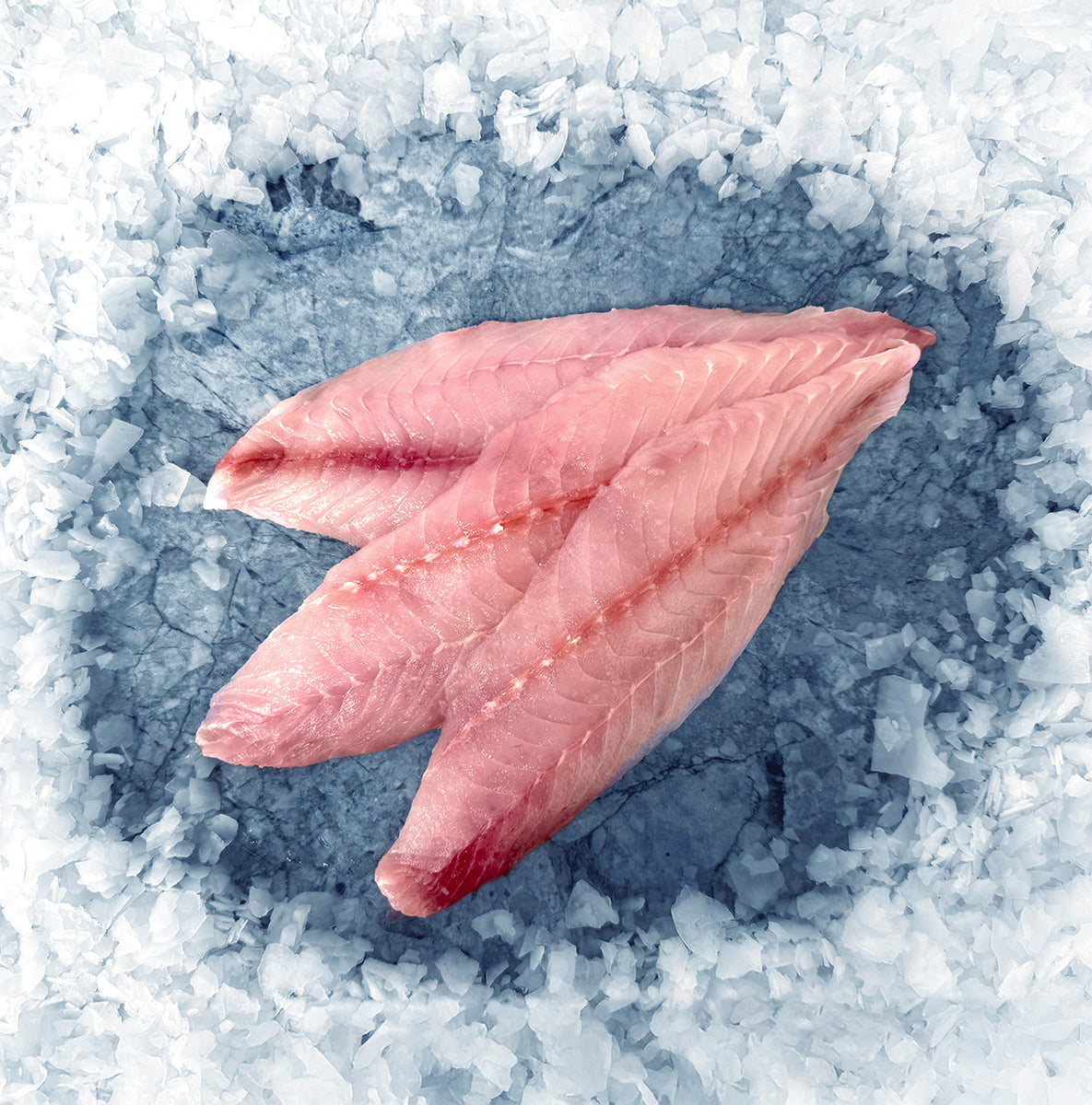 Buy Pacific Red Snapper Fillet Online – Pure Food Fish Market