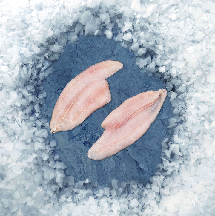 Buy Sole Fish Online | Pure Food Fish Market