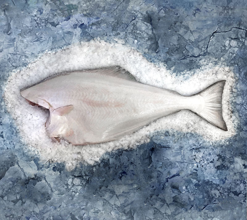Buy Fresh Whole Halibut Online – Pure Food Fish Market
