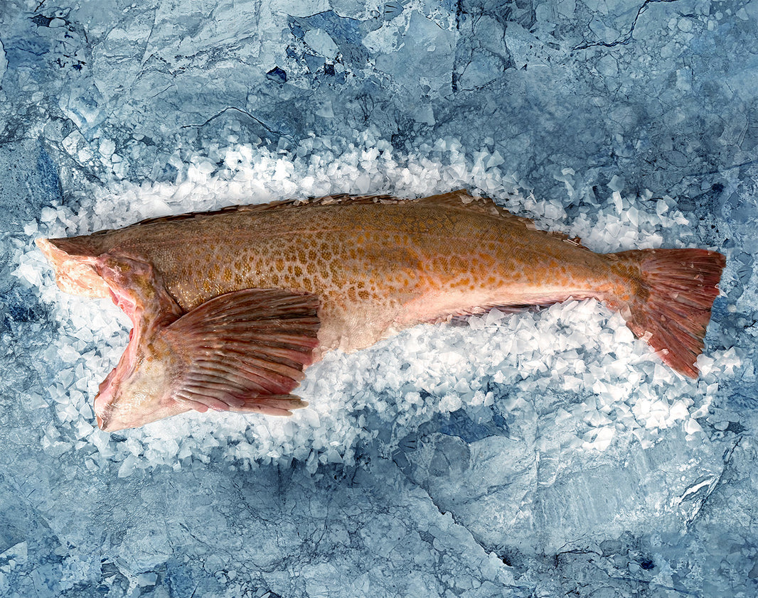Buy Fresh Cod Online | Pure Food Fish Market