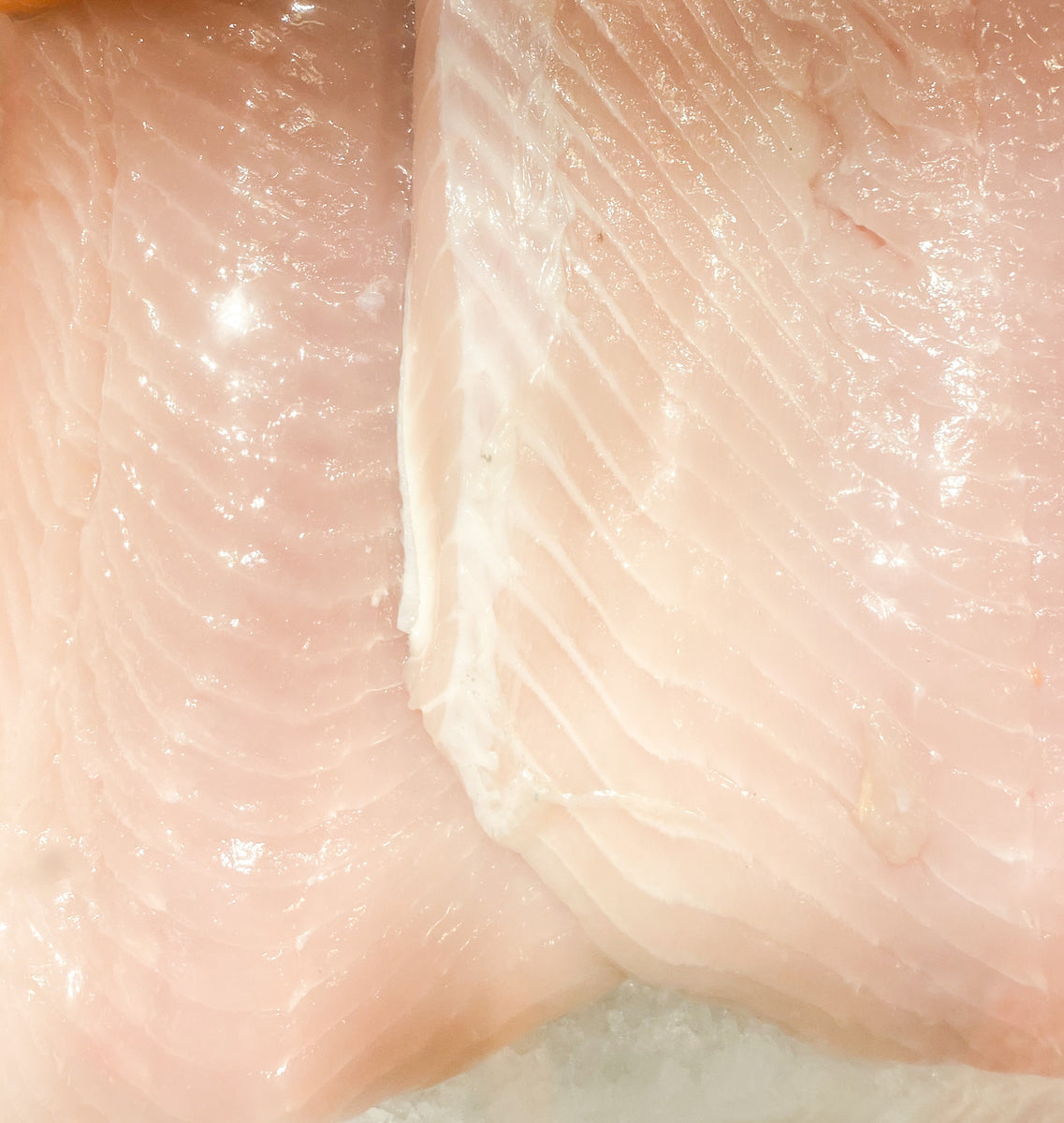 Fresh Alaskan White King Salmon Fillet (Wild) – Pure Food Fish Market