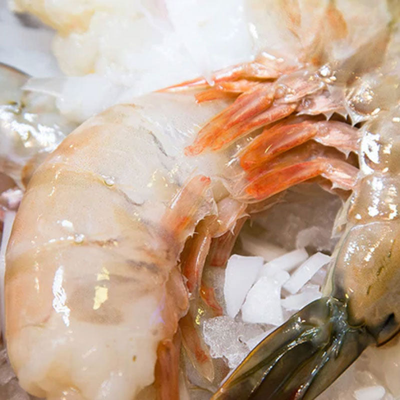 Buy White Gulf Shrimp U8 Size Online – Pure Food Fish Market